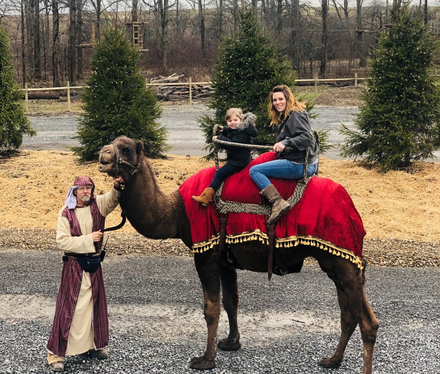 Visit Keystone Safari This Holiday Season | Visit Mercer County PA
