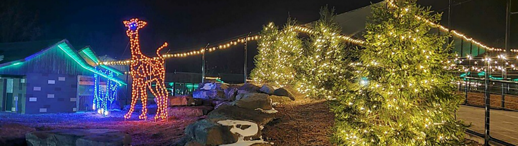 Keystone Safari Holiday Lights | Visit Mercer County PA