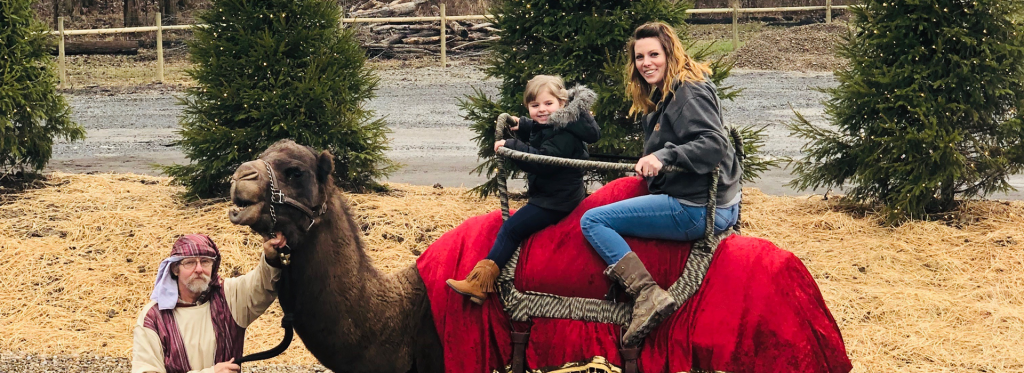 Keystone Safari Camel Ride | Visit Mercer County PA