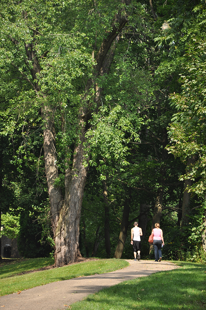 Join us for the Shenango River Watcher’s “ Where the River Runs” 10 ...