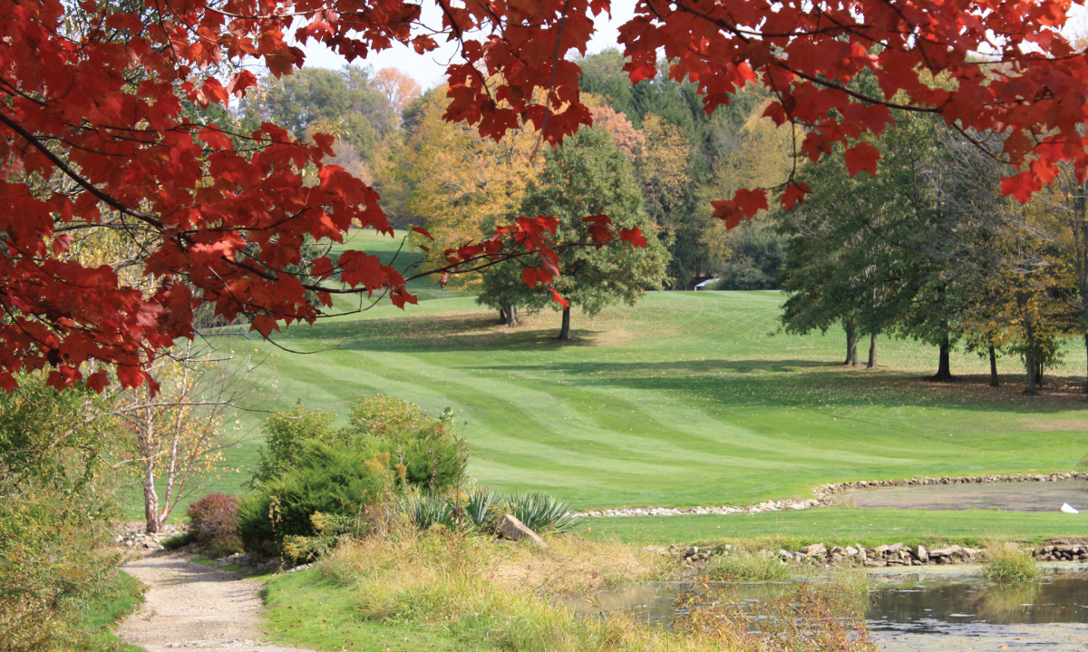 Mercer County Golfing for 2024 | Visit Mercer County PA