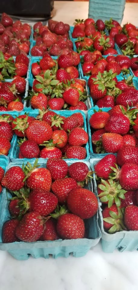 strawberries on the farm | Visit Mercer County PA